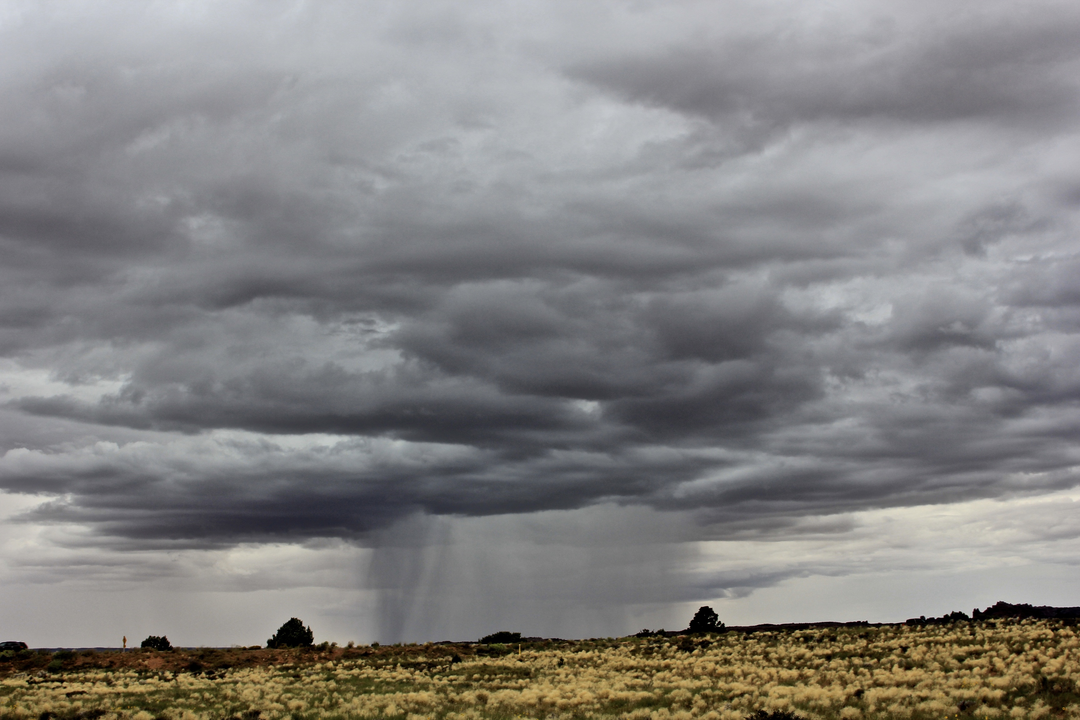 The rain on the plain | Shutterbug